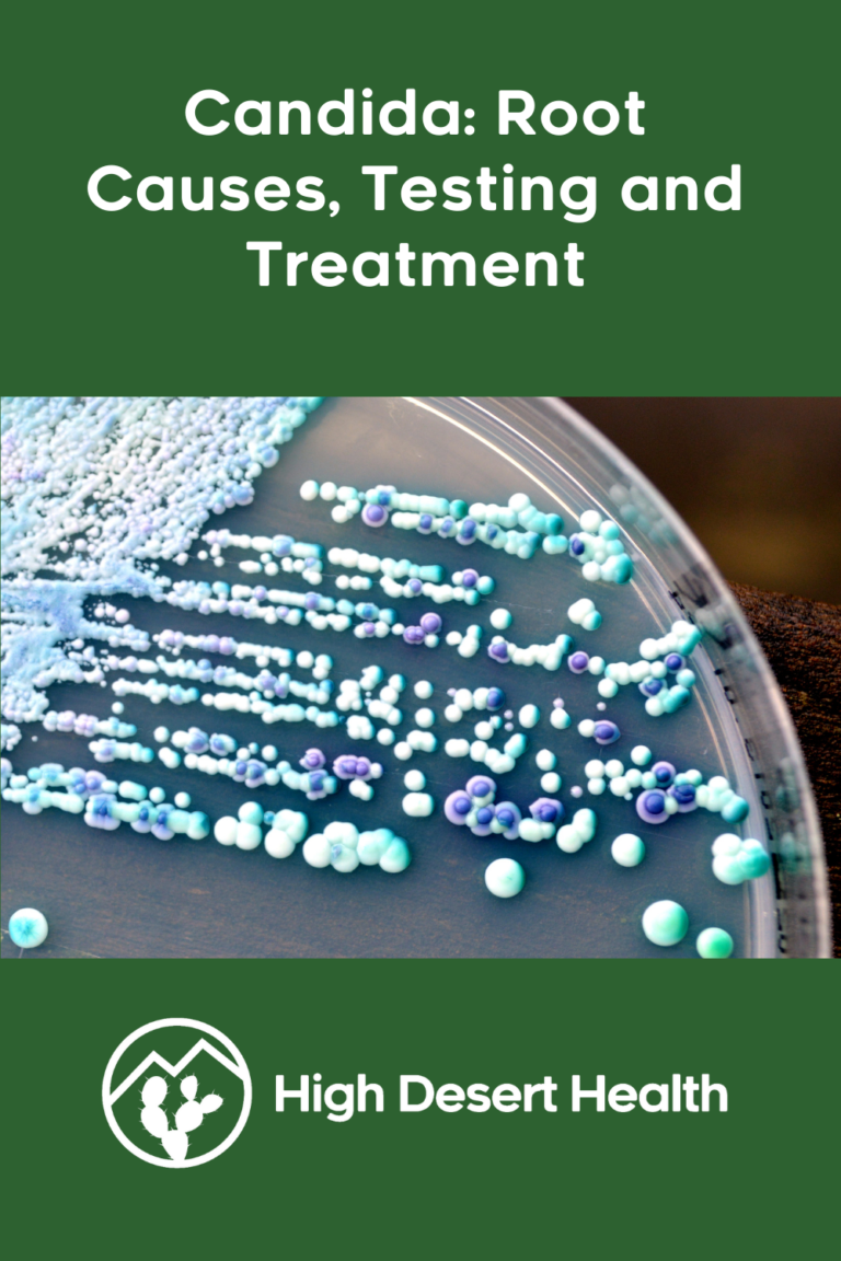Candida: Root Causes, Testing and Treatment with Dr. Michael Biamonte ...